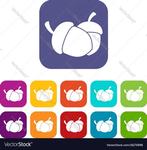 Acorn Icons Set Royalty Free Vector Image Vectorstock