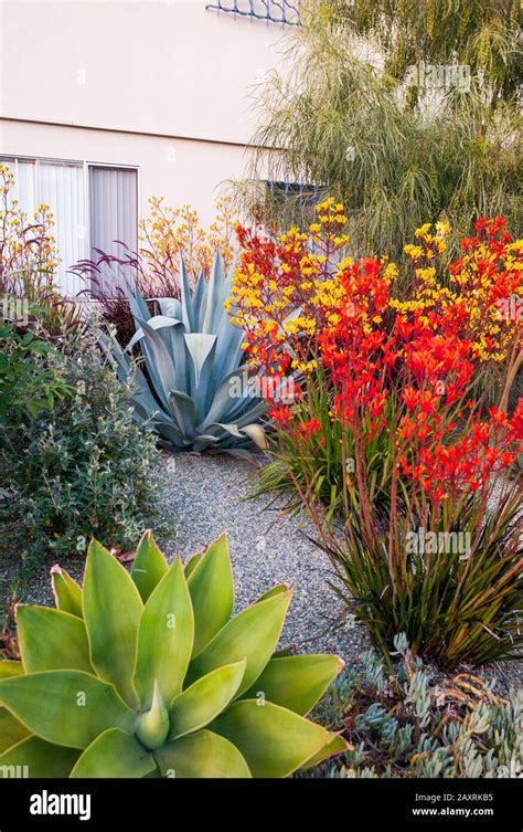 Southern California Garden And Landscape Design For An Apartment