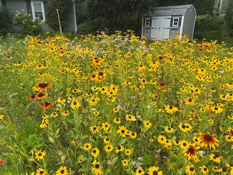 Grumpy Tg Bsky Social On Bluesky