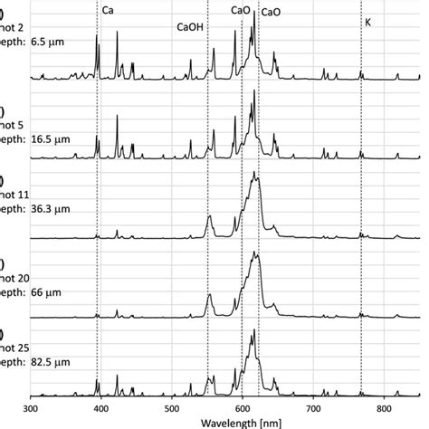 Spectral Depth Profiling In Healthy Bone Material Typical Libs Download Scientific Diagram