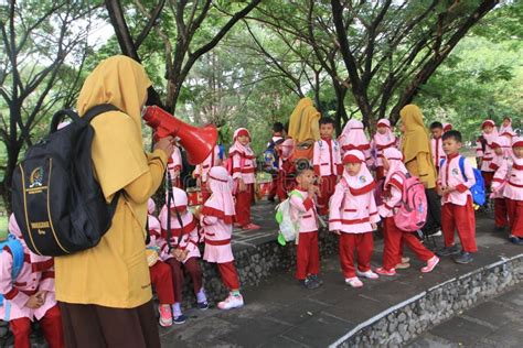 Outing Class Editorial Photo Image Of Plant Vacation 63040121 Outing Class Editorial Photo Image Of Plant Vacation 63040121