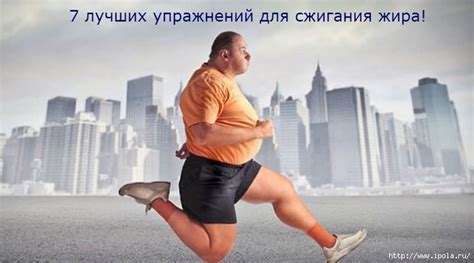 7 лучших упражнений для сжигания жира Обсуждение на Liveinternet Российский Сервис Онлайн