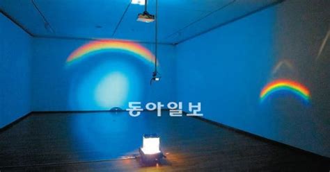 빛 소리 그림자 오감으로 체험