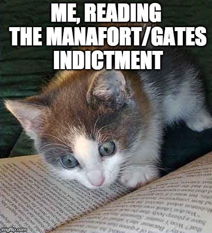 Reading Cat Imgflip