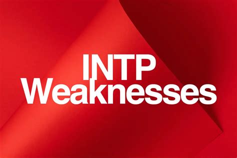 7 Major Intp Weaknesses And How To Manage Them 2024 Mindbee