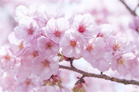 这种 老掉牙”的东西，他们还在用