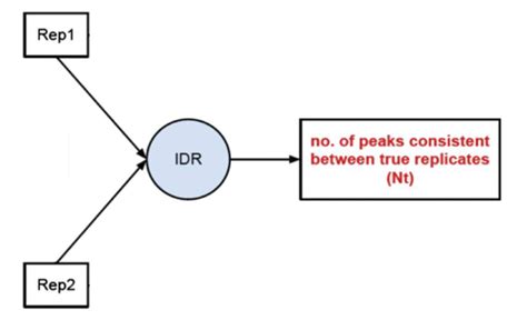 Chip Seq Data Analysis Crc User Manual