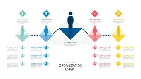Organization Chart Infographic Template For With Business Avatar Icons Vector Illustration