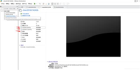 vmware tools显示灰色以及与主机实现复制粘贴 虚拟机里 使用物理驱动器 是灰色的 csdn博客