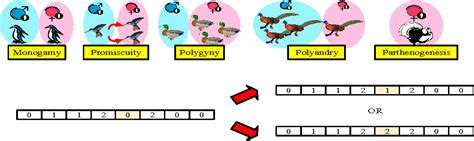 Figure 2 From A Modified Bird Mating Optimization With Hill Climbing For Connection Decisions Of