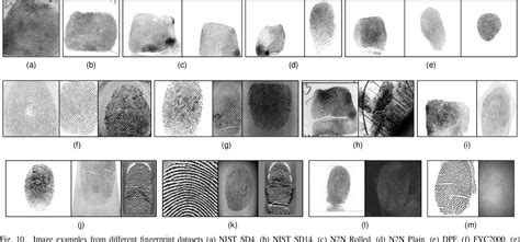 fingerprint matching with localized deep representation paper and code