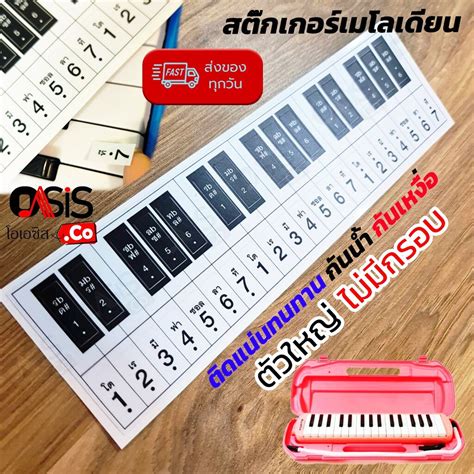 ไม่มีกรอบ สติ๊กเกอร์เมโลเดียน สติ๊กเกอร์ เมโลเดี้ยน Melodian Sticker Shopee Thailand