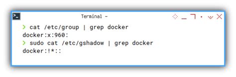 Docker Setup