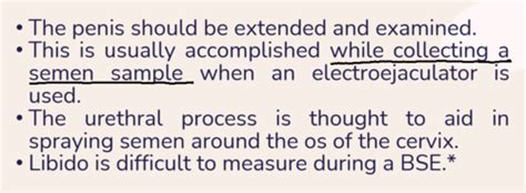 Repro Final Flashcards Quizlet