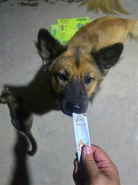 ချောပုလုံးမိသားစု ပူစီခရင်မီဆိုပေမယ့်ကျနော့်လဲတစ်ကိုက်လောက် Facebook