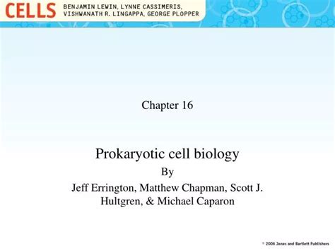 PPT Chapter 16 PowerPoint Presentation Free Download ID 65433