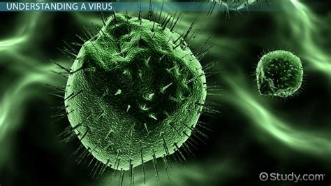 Capsid Function Structure And Examples Video