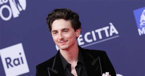 Ai Chatbots Of Celebrities Like Timothee Chalamet Had Sexual