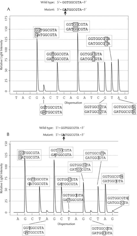 Fundamentals Of Pyrosequencing Archives Of Pathology And Laboratory