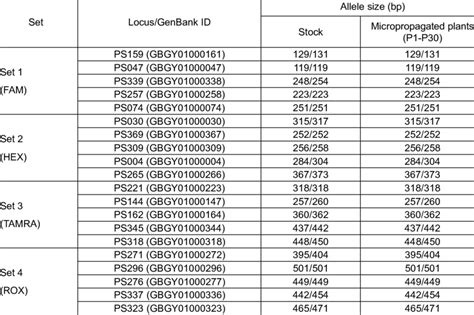 Ssr Genotyping Of The Stock And Micropropagated Plants Of Paeonia × Download Table