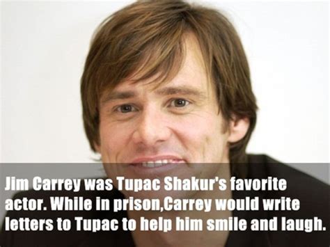 Silly Facts To Brighten Your Day 25 Pics