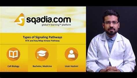 Types Of Signaling Pathways Rtk And Ras Map Kinase Pathway