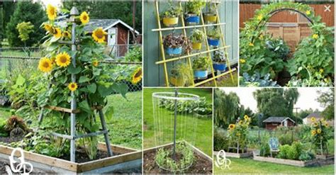 20 Easy DIY Trellis Ideas To Add Charm And Functionality To Your Garden