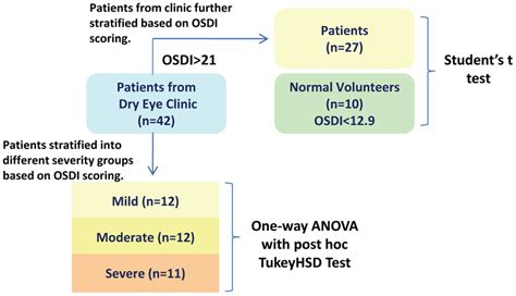 Flow Chart Illustrating The Different Schemes Of Statistical Analysis Download Scientific