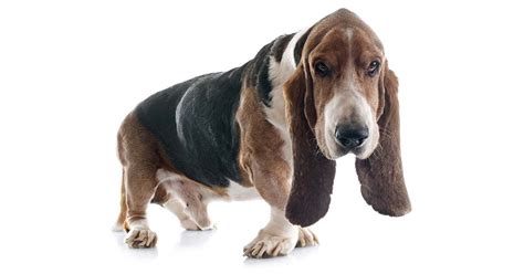 How To Assess Your Sql Server Environment Sql Server Consulting