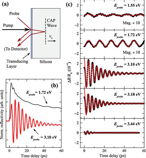 A Coherent Acoustic Phonon Generation And Detection Scheme For Al 10