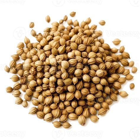 Coriander Seeds Pngs For Free Download