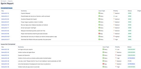 sprint report completed issues