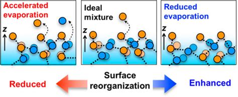 Interfacial Water Structure Of Binary Liquid Mixtures Reflects Nonideal Behavior Pmc