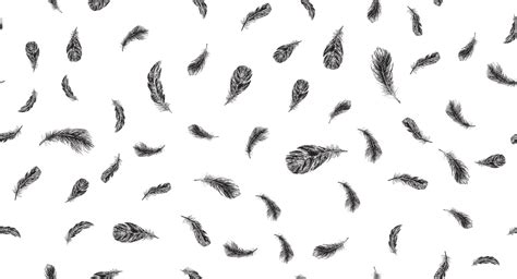 Set Of Bird Feathers Hand Drawn Sketch Style 11861029 Vector Art At Vecteezy