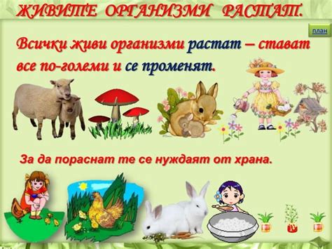 Живи организми ЧП 3 клас Булвест Pptx