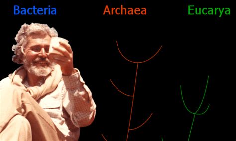 Carl Woese Biography Facts And Pictures