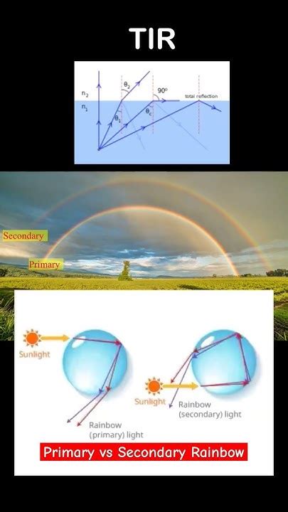 Primary Vs Secondary Rainbow Rainbow Primaryandsecondaryrainbow