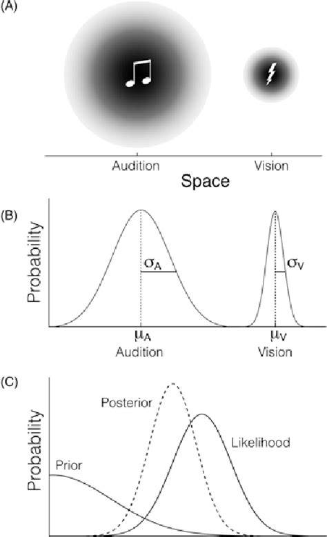 Figure 21 From Chapter 2 Cue Combination Within A Bayesian Framework