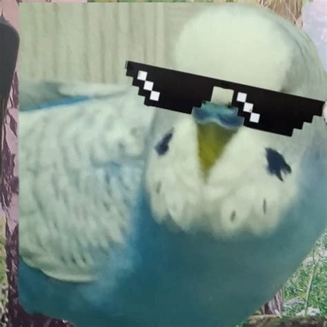 Клёпа дупка Youtube