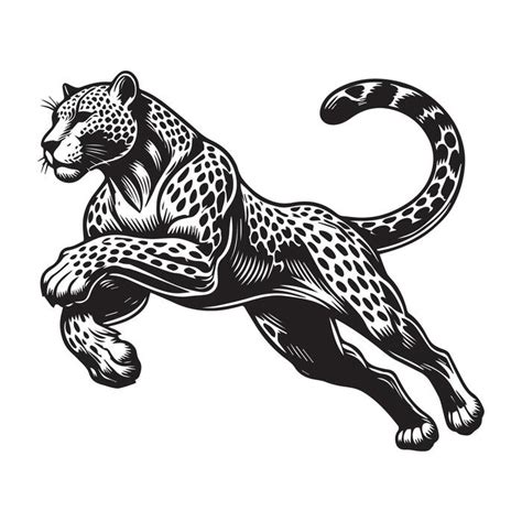 Leopard Jumping Vector Art Icons And Graphics For Free Download