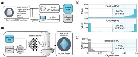A A Schematic That Differentiates Positive P And Unlabeled U Download Scientific Diagram
