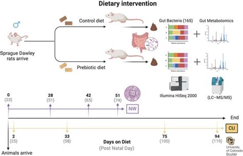 Nutrients An Open Access Journal From Mdpi