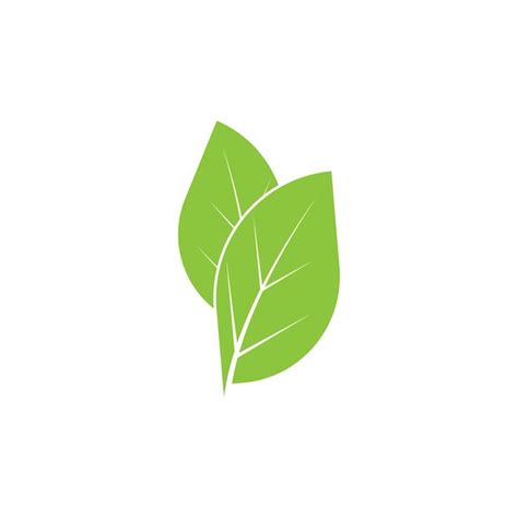 Premium Vector Leafs Logo Icon Vector Illustration Template Design
