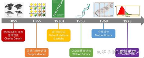 24秋演化生物学课程笔记 系统发生学 知乎
