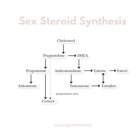 The Bodys Synthesis Of Sex Hormones Sara Gottfried Md