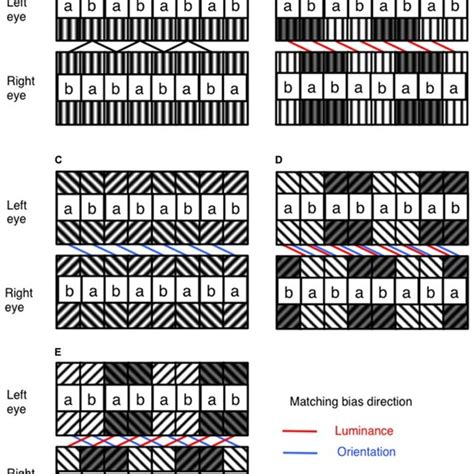 Left Example Random Dot Stereogram Rds Right Illustration Of
