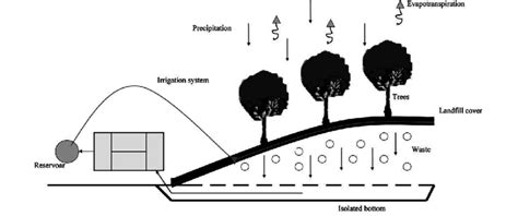 Schematic Description Of The Research Site Download Scientific Diagram