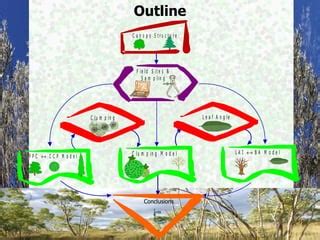 Relationships Between Forest Structure Measurements PPT Weather Science