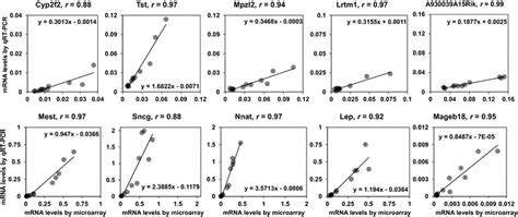 Validation Of Microarray Data Using Qpcr The Mrna Expression Levels Of