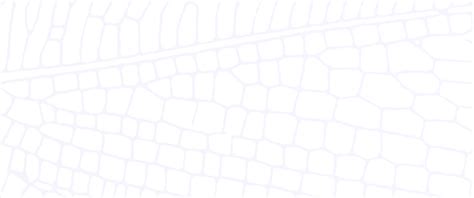 Cockroachdb Distributed Sql For Always On Customer Experiences